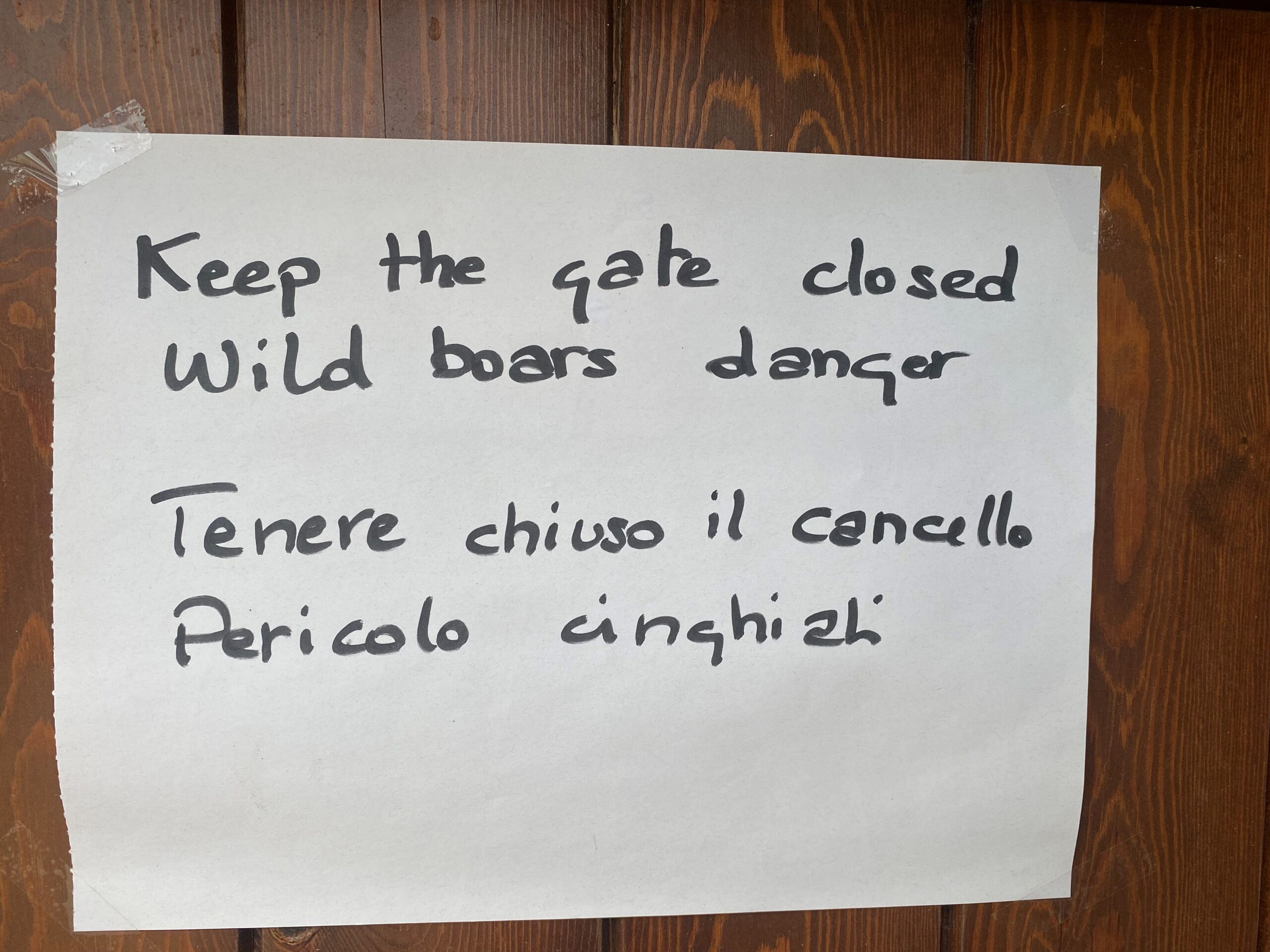 Beware of the boar! - Messy Church : Messy Church