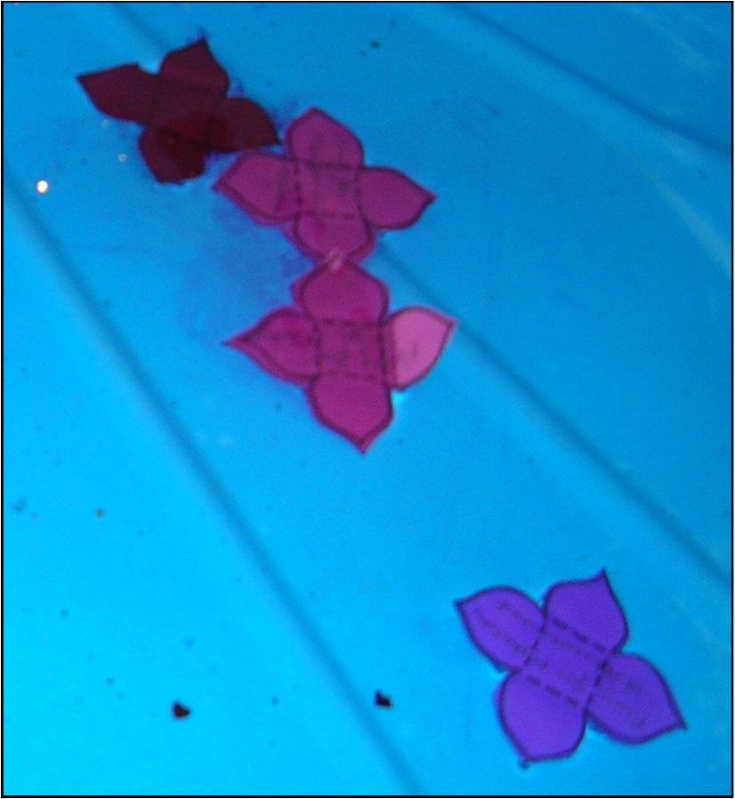 The Season of Creation - Messy Church : Messy Church