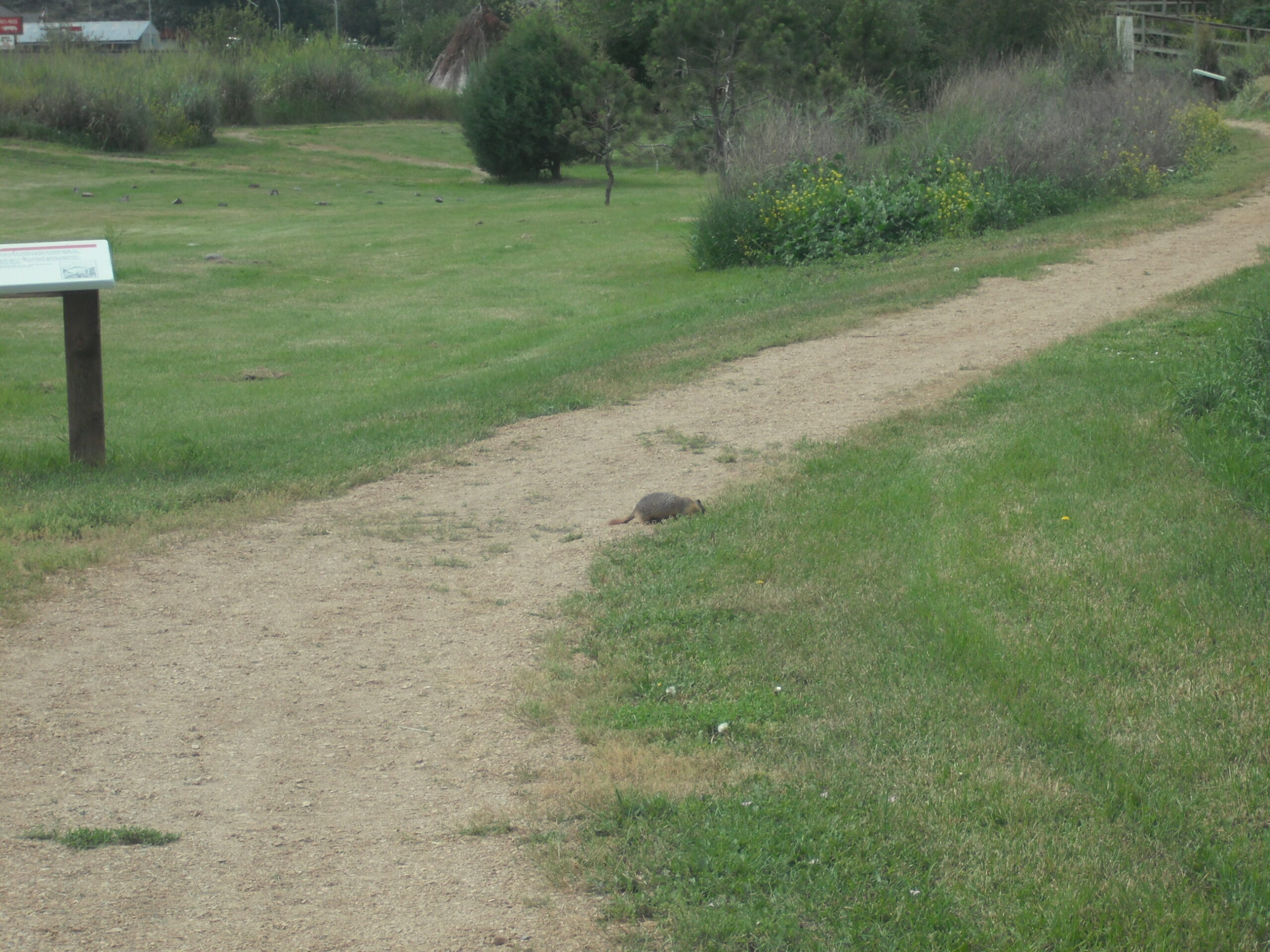 Questions from the threshold #2 - Messy Church : Messy Church