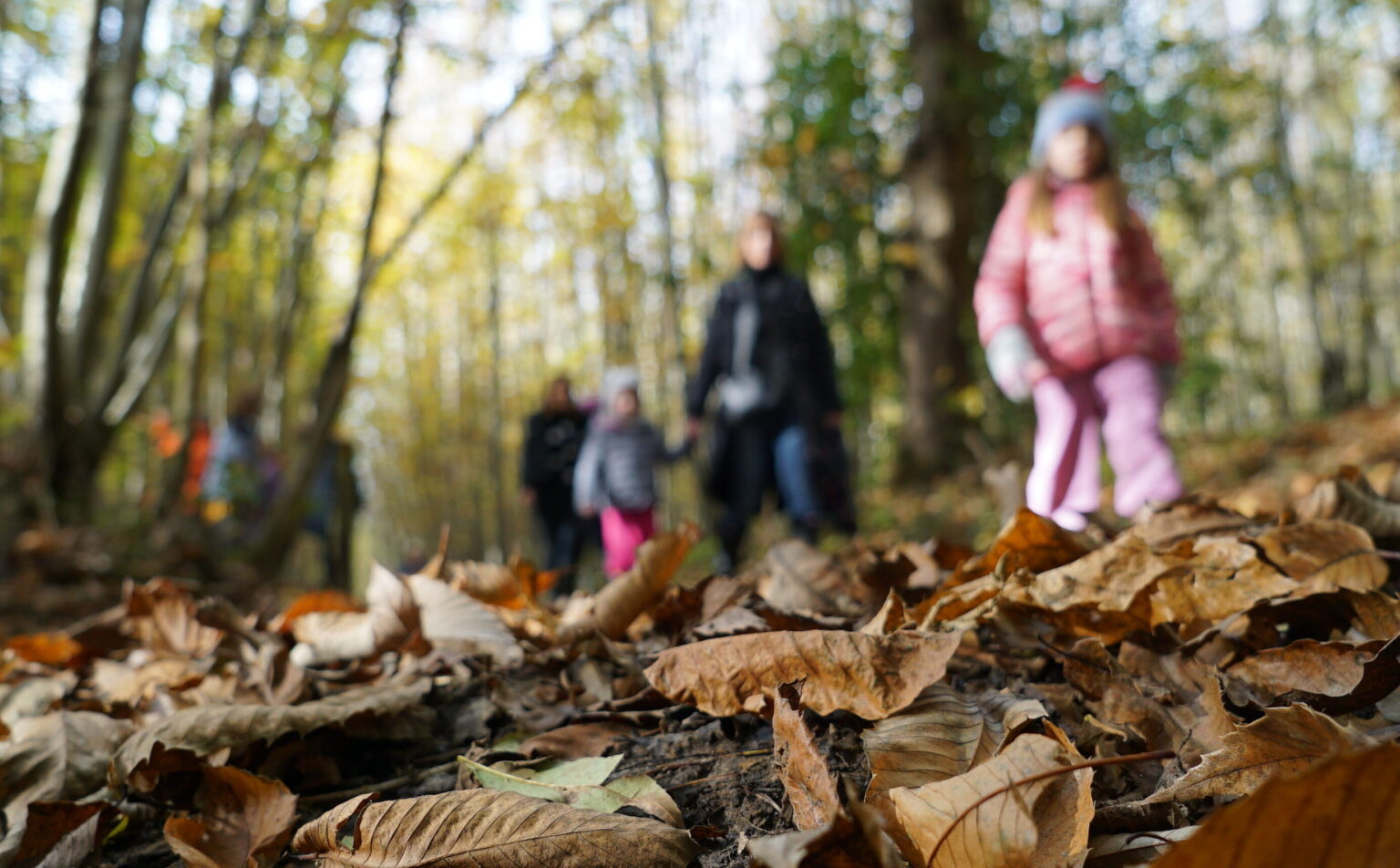 Summary of autumn festival resources - Messy Church : Messy Church